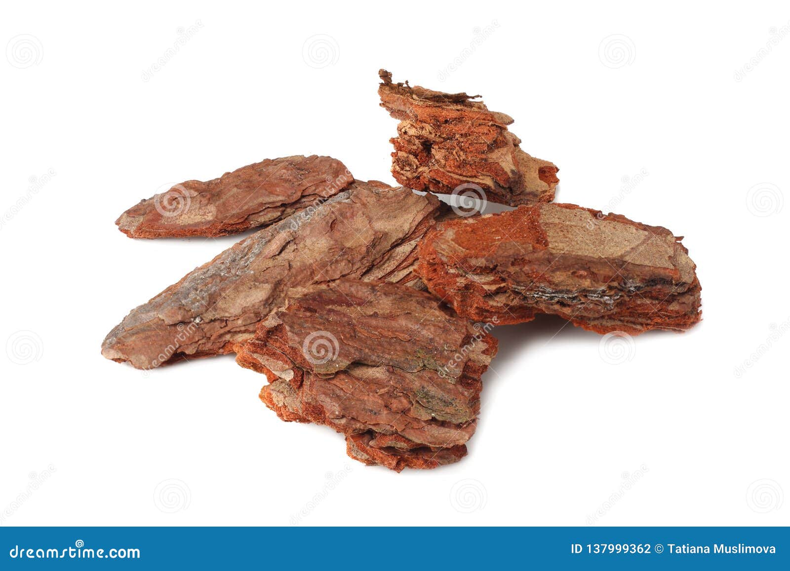 Tree Bark Pieces Isolated on White Background Stock Photo - Image of ...