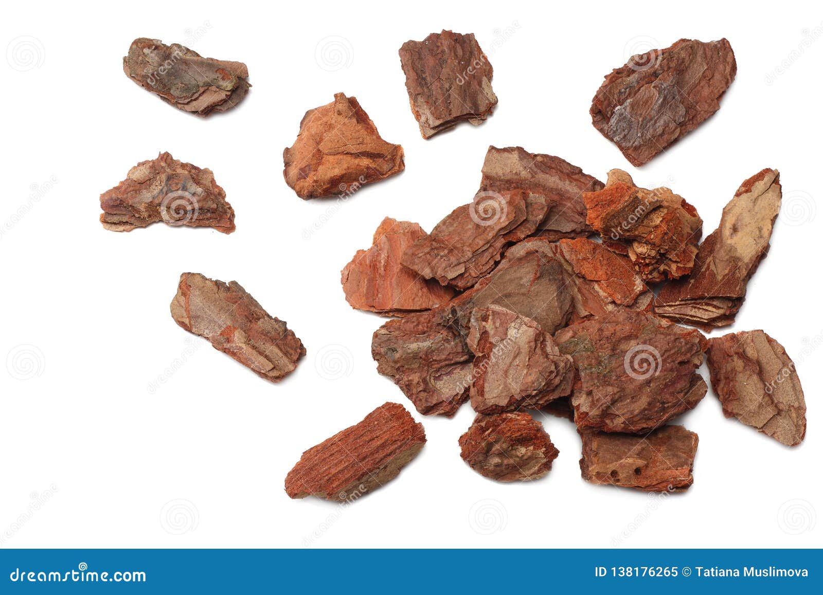 Tree Bark Pieces Isolated on White Background. Top View Stock Image ...