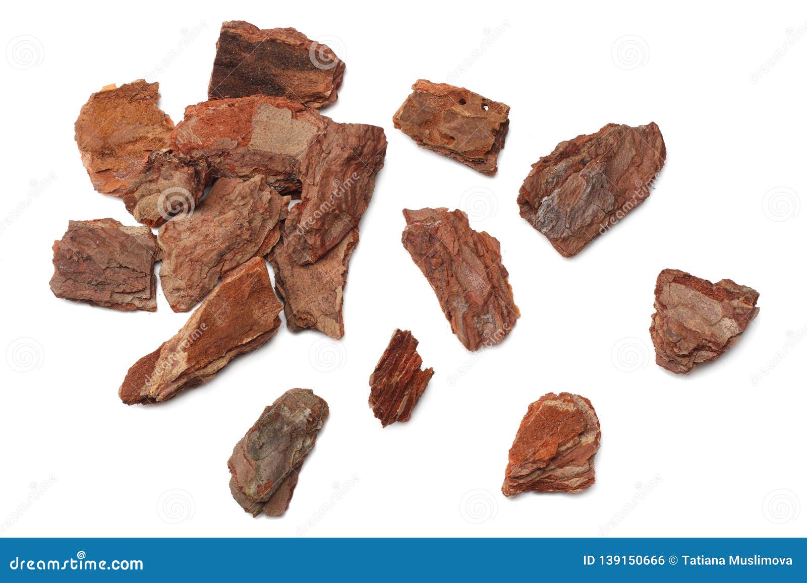 Tree Bark Pieces Isolated on White Background. Top View Stock Photo ...