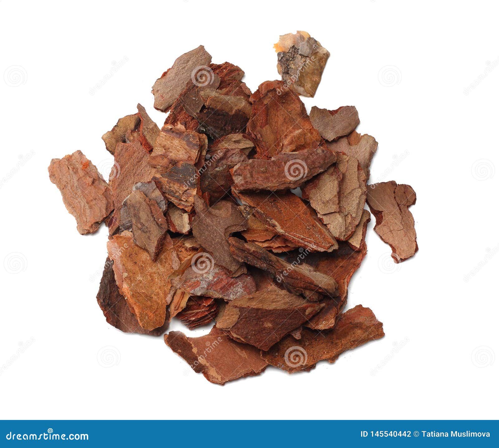 Tree Bark Pieces Isolated on White Background. Top View Stock Photo ...