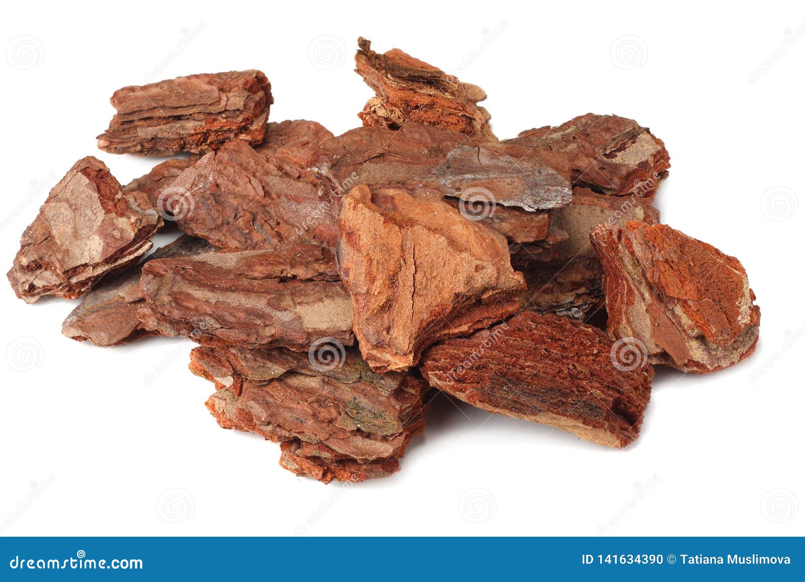 Tree Bark Pieces Isolated on White Background Stock Photo - Image of ...