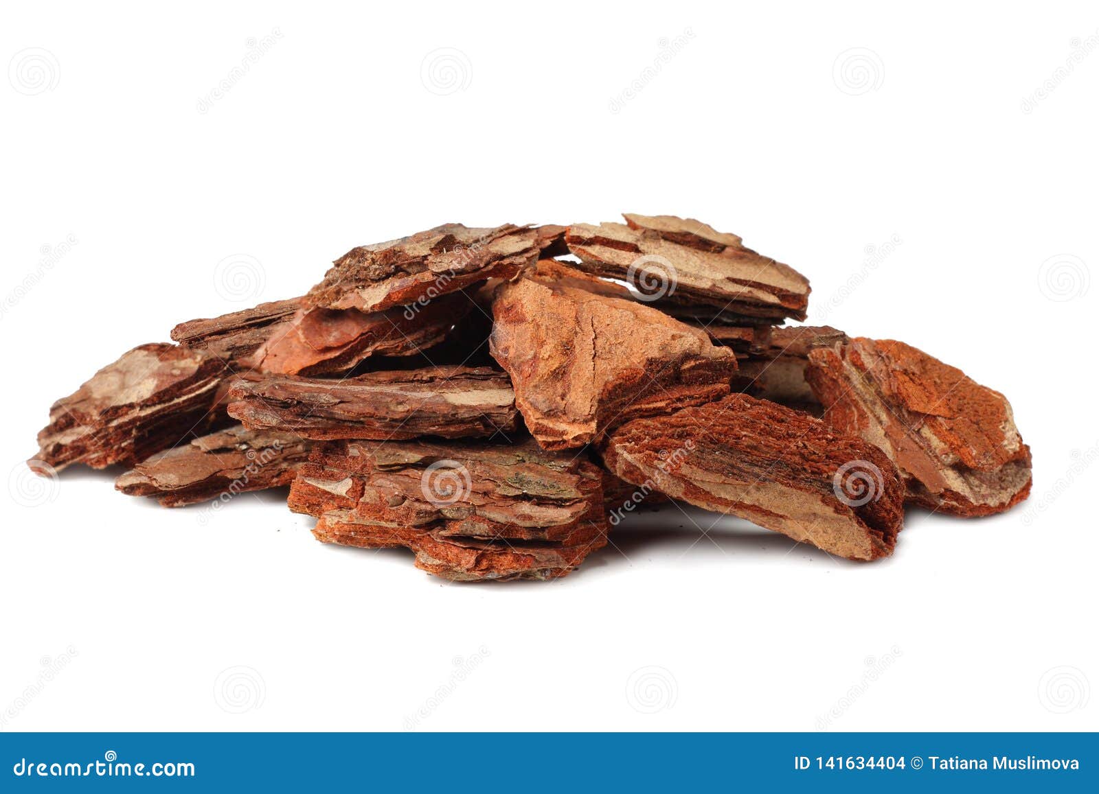 Tree Bark Pieces Isolated on White Background Stock Photo - Image of ...