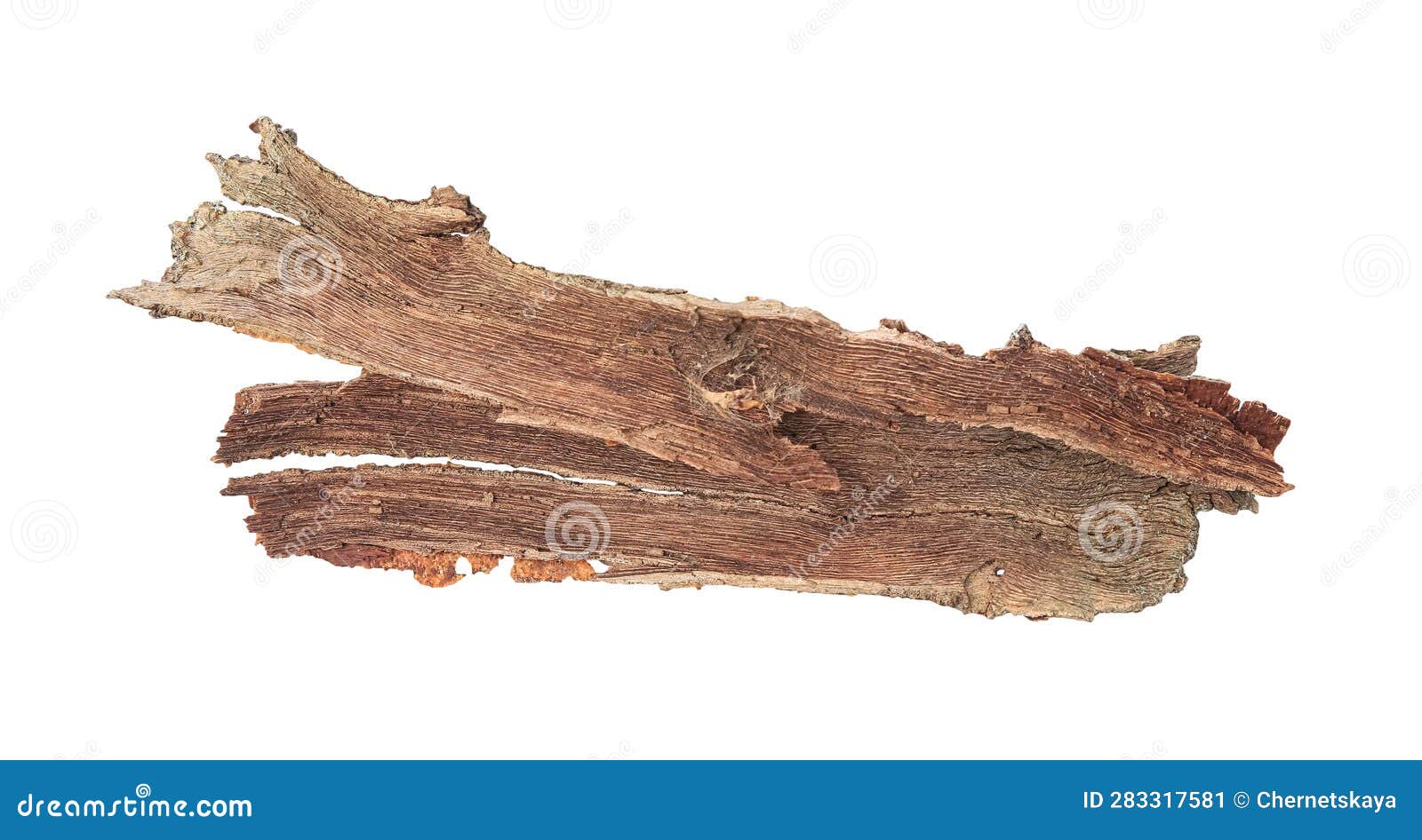 Tree Bark Pieces Isolated on White, Top View Stock Image - Image of ...