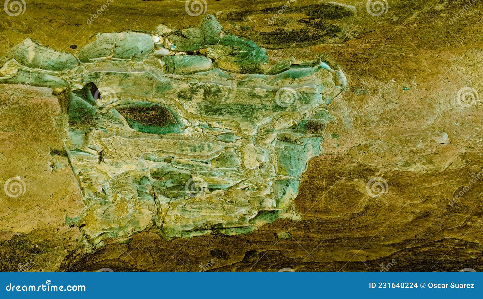 Tree Bark, Tree Shell Texture in Green Tones Stock Photo - Image of ...