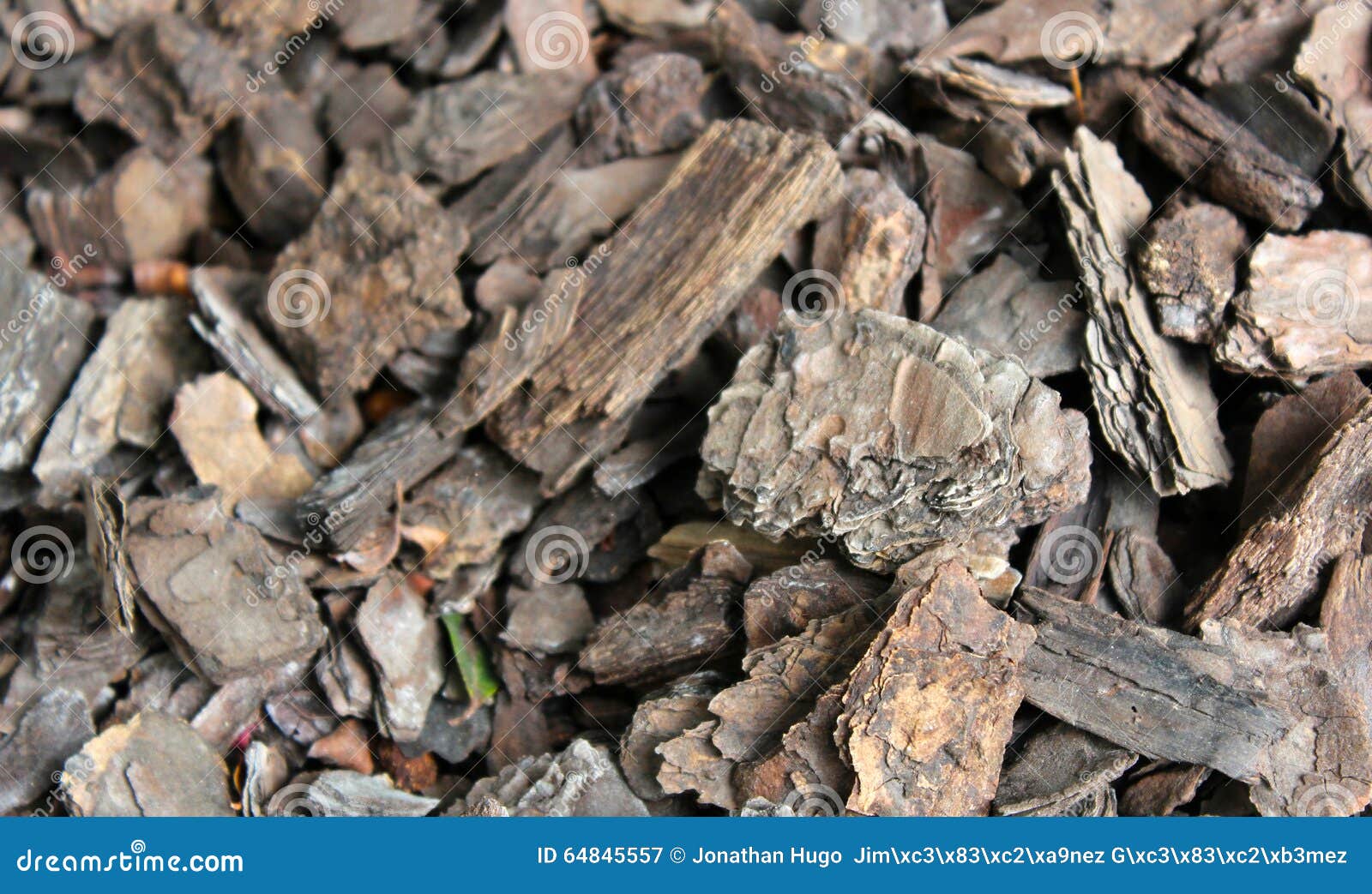 Tree Bark Small Pieces Texture Background Stock Image - Image of small ...