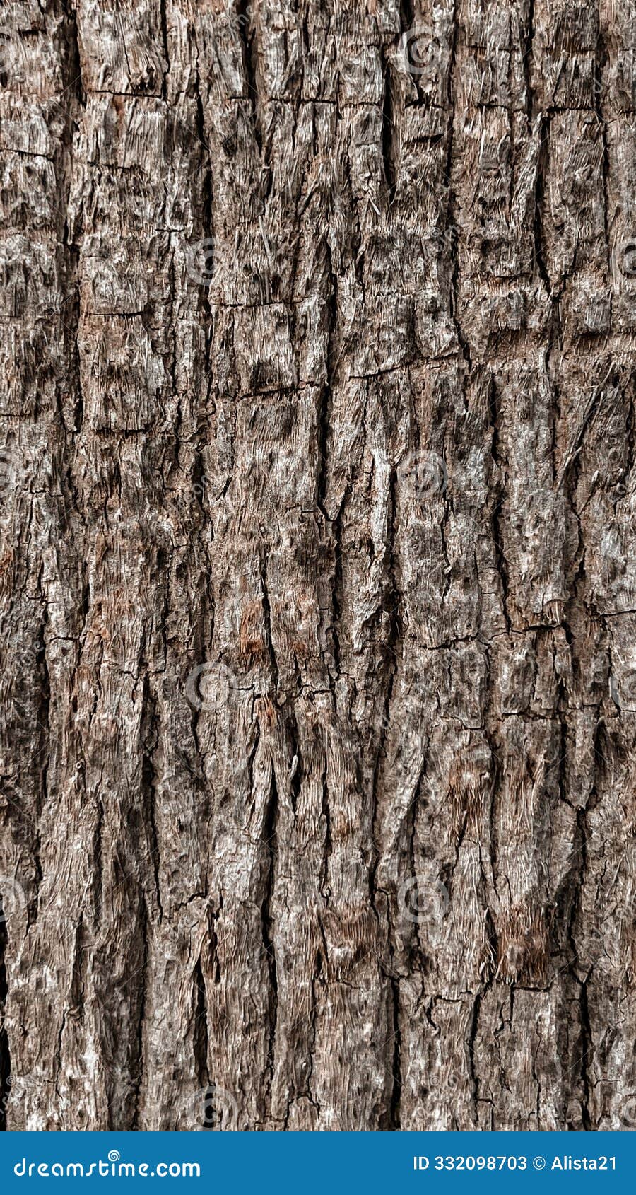 Tree Bark Texture Background. Bark of a Palm Tree As a Background Stock Image - Image of brown ...