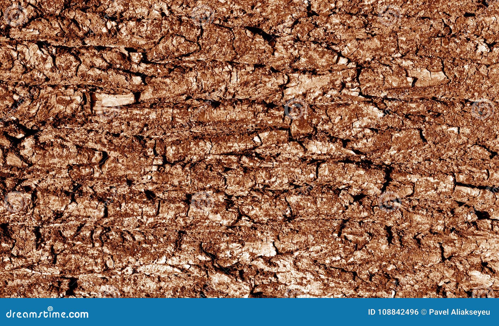 Tree Bark Texture in Brown Tone. Stock Photo - Image of hard, brown ...