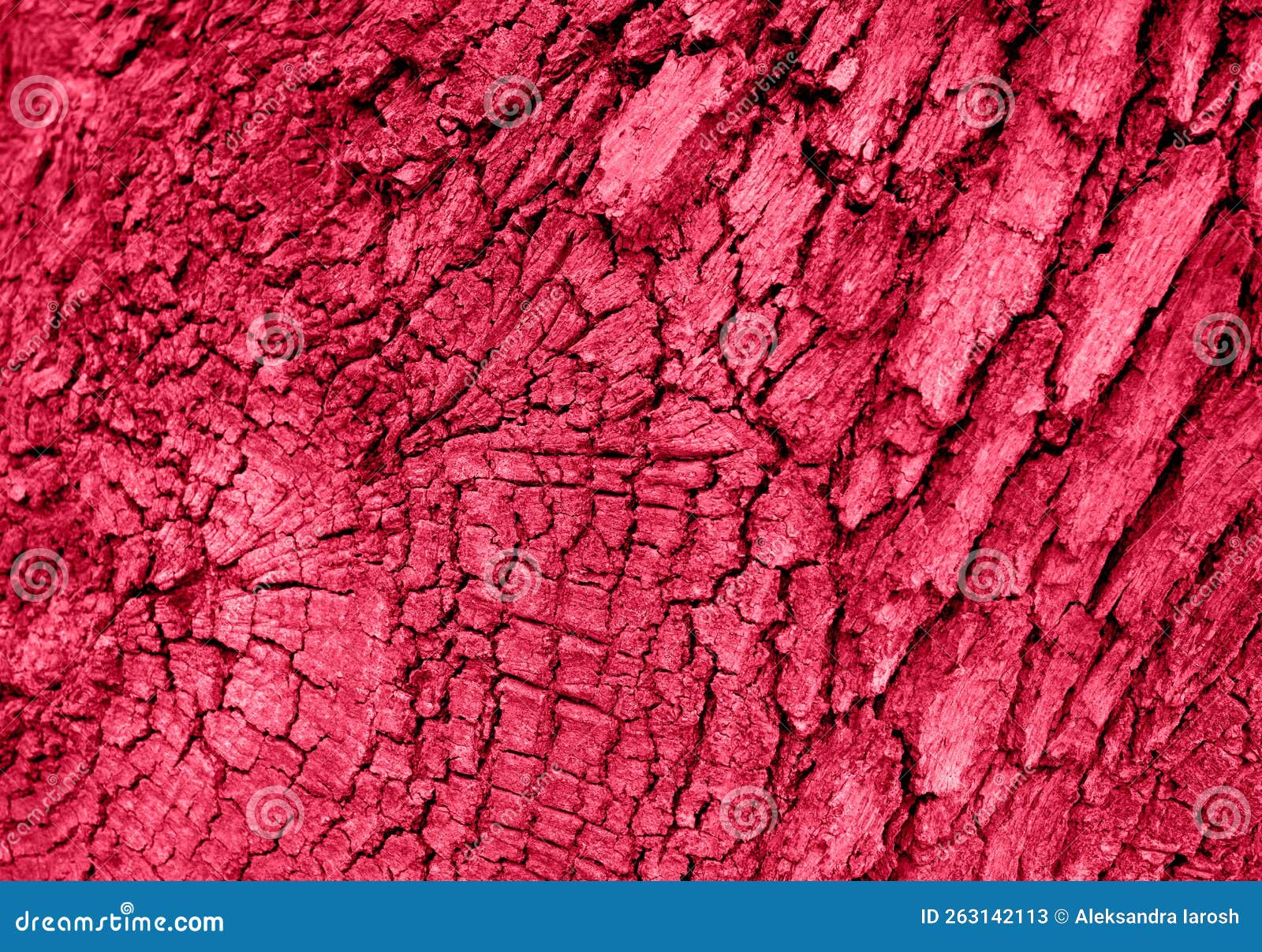 Tree Bark Texture in the Color of the Year 2023 Viva Magenta Stock ...