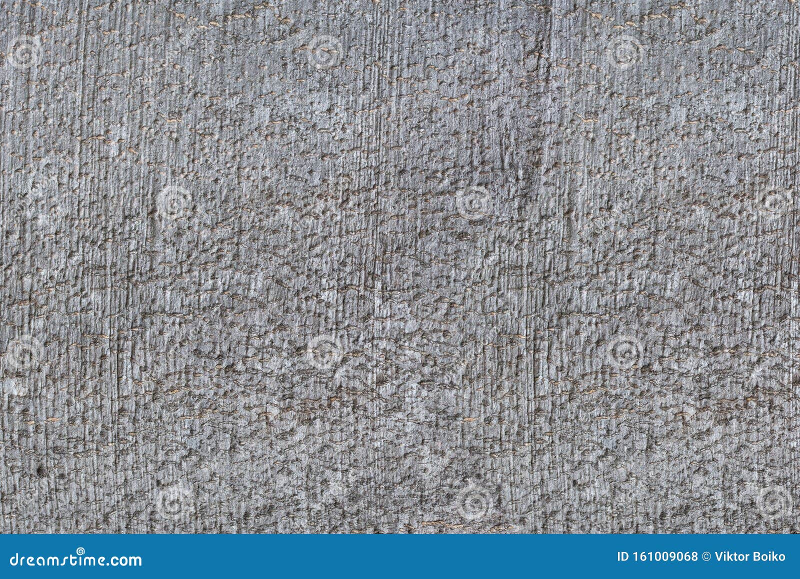 Background from Beech Tree Bark Texture for Design Stock Photo - Image ...