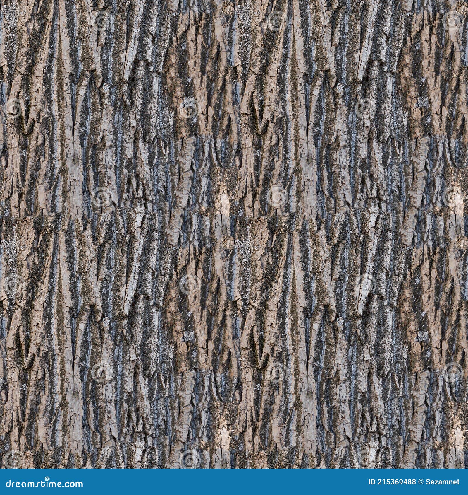 Tree Bark Texture. 4k Seamless Texture Stock Photo - Image of timber ...