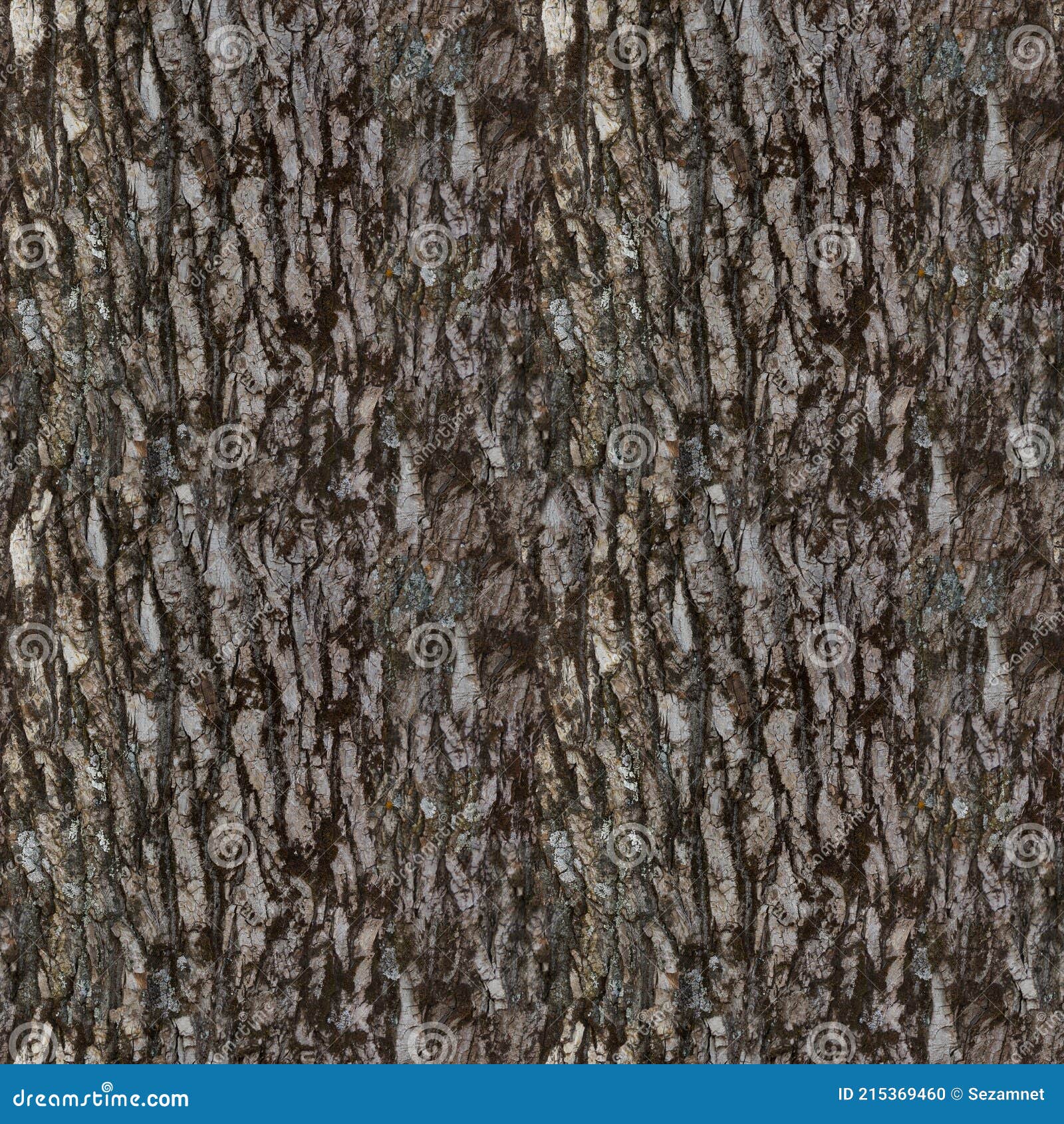 Tree Bark Texture. 4k Seamless Texture Stock Photo - Image of pine ...