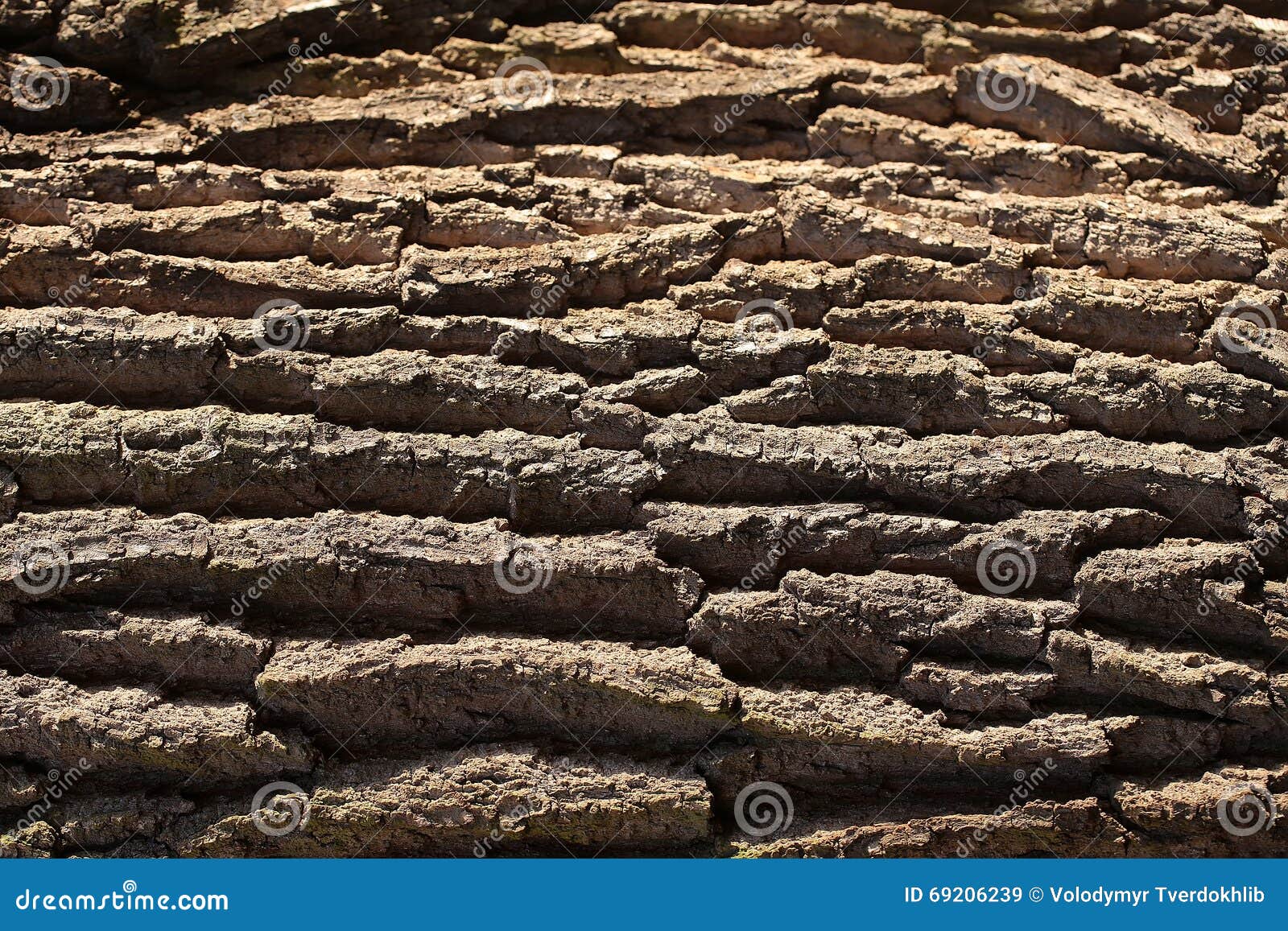 809 Outer Layer Texture Stock Photos - Free & Royalty-Free Stock Photos ...