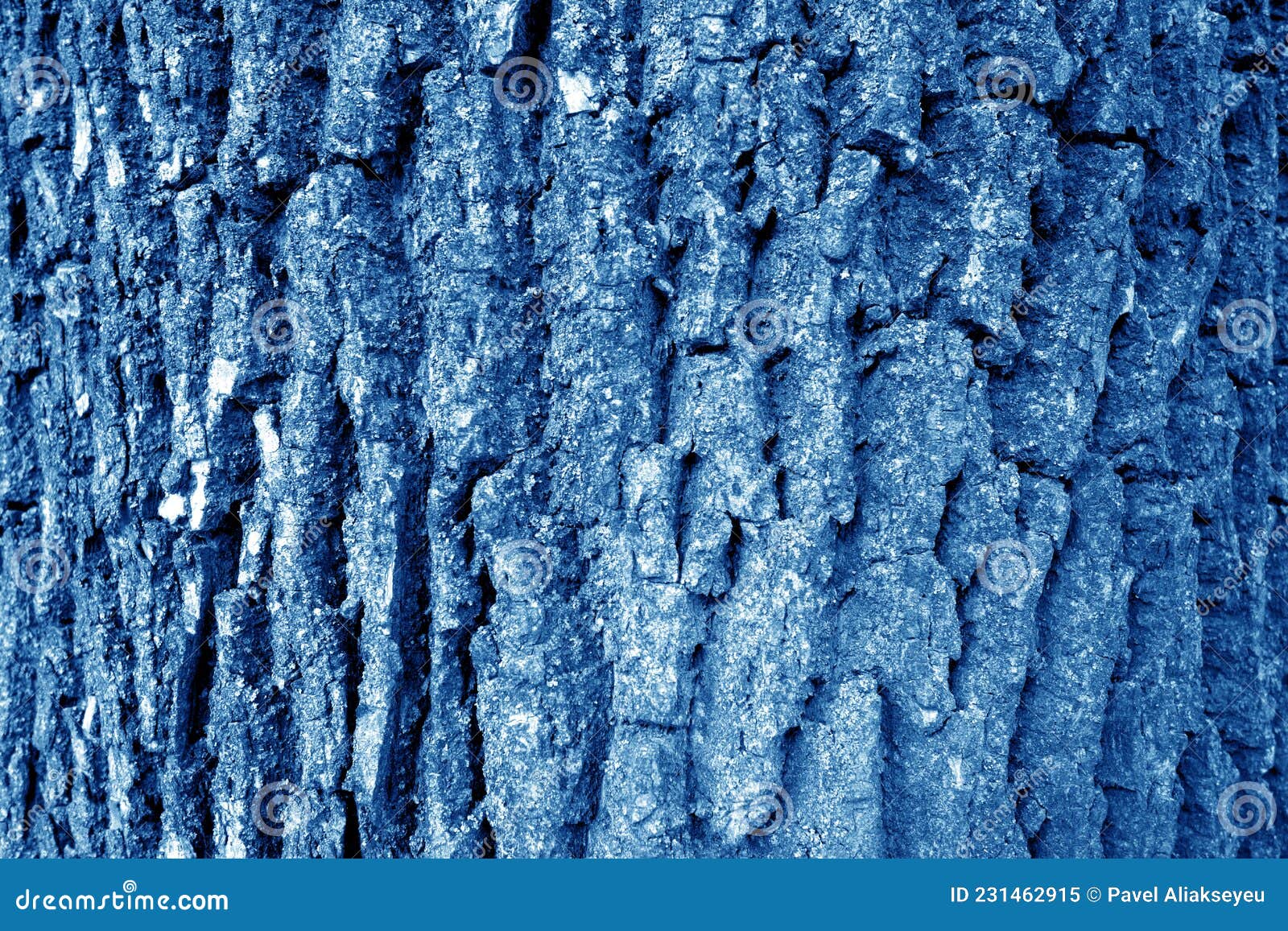 Tree Bark Texture in Navy Blue Tone Stock Image - Image of grunge ...