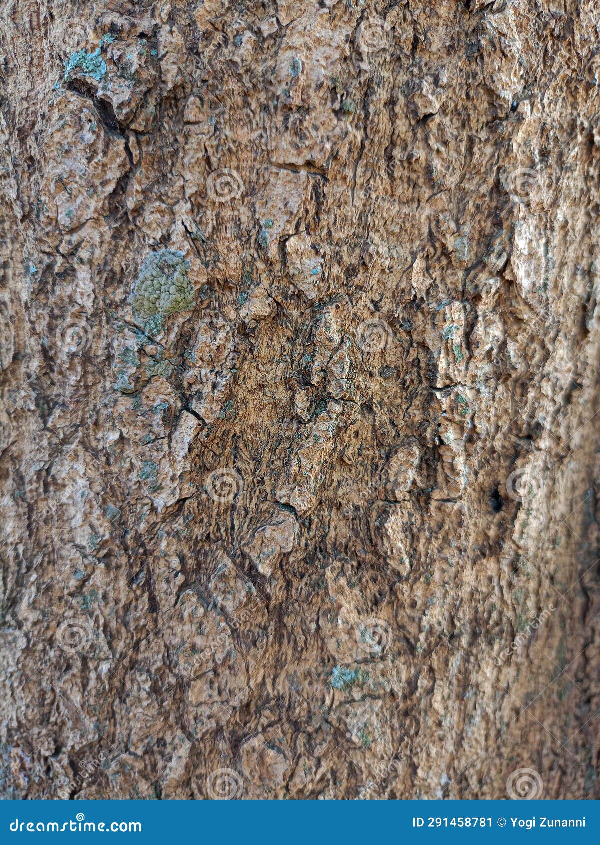 Tree Bark Texture Wallpaper Stock Image - Image of stem, outdoors ...