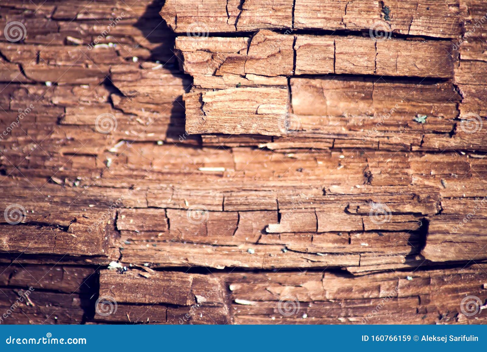 Tree Bark Texture. Old Wooden Wall Background Stock Image - Image of ...