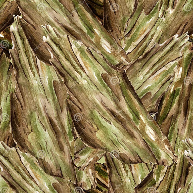 Tree Bark Watercolor Seamless Pattern Stock Image - Image of dampness ...