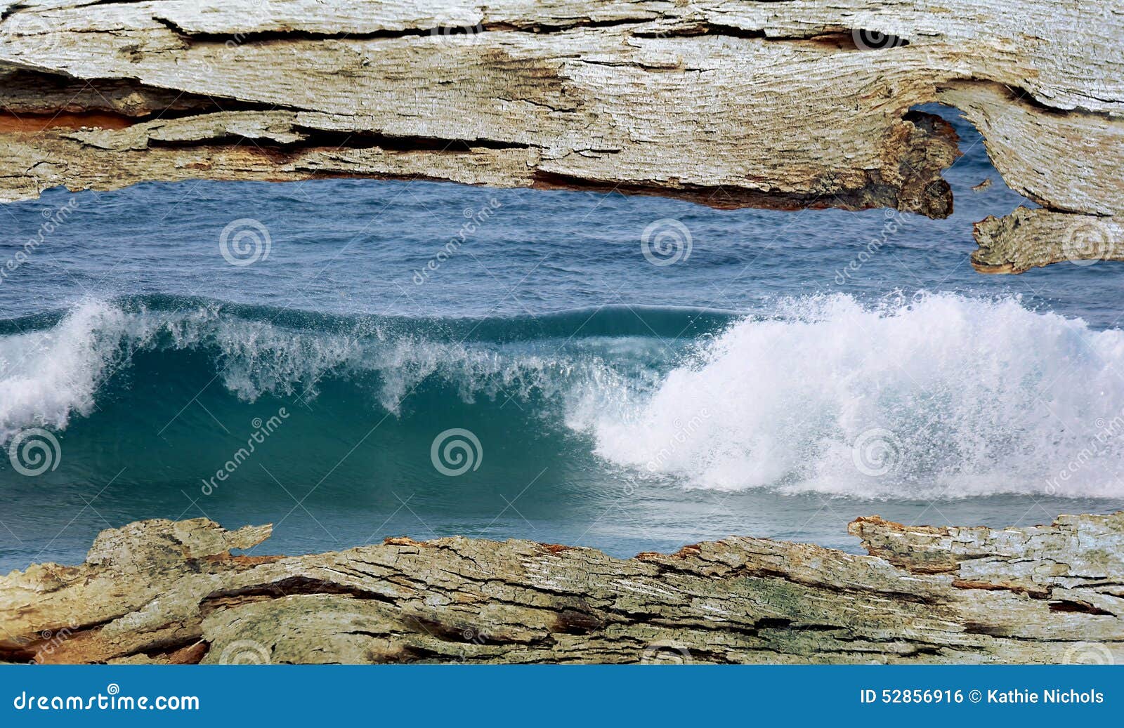 Tree Bark Window To Ocean Wave Stock Photo - Image of holiday, nature ...