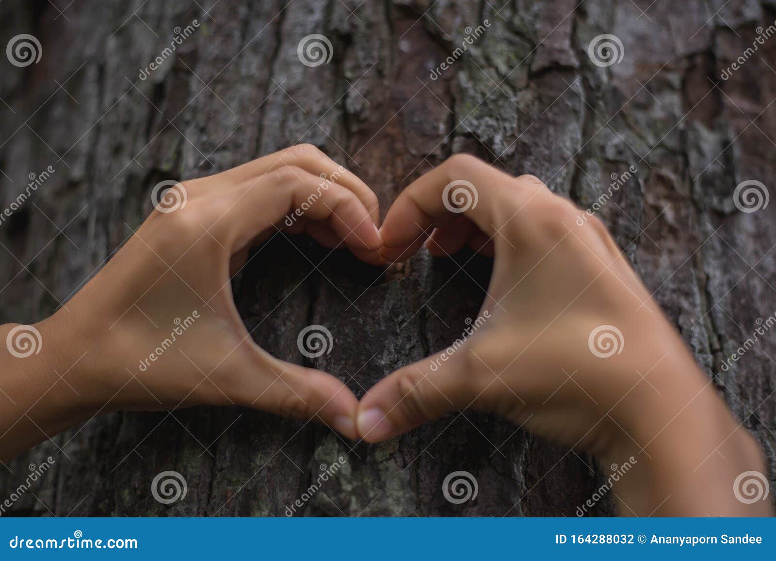 Tree Bark with Woman Hand on it Stock Photo - Image of caucasian, tree ...