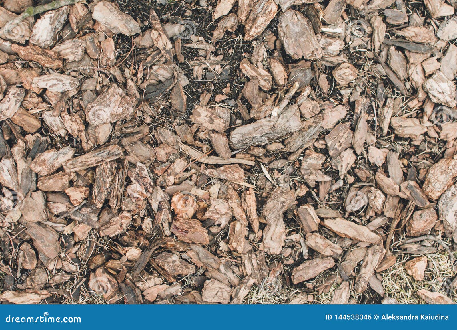Tree bark wood chip. stock photo. Image of bark, element - 144538046