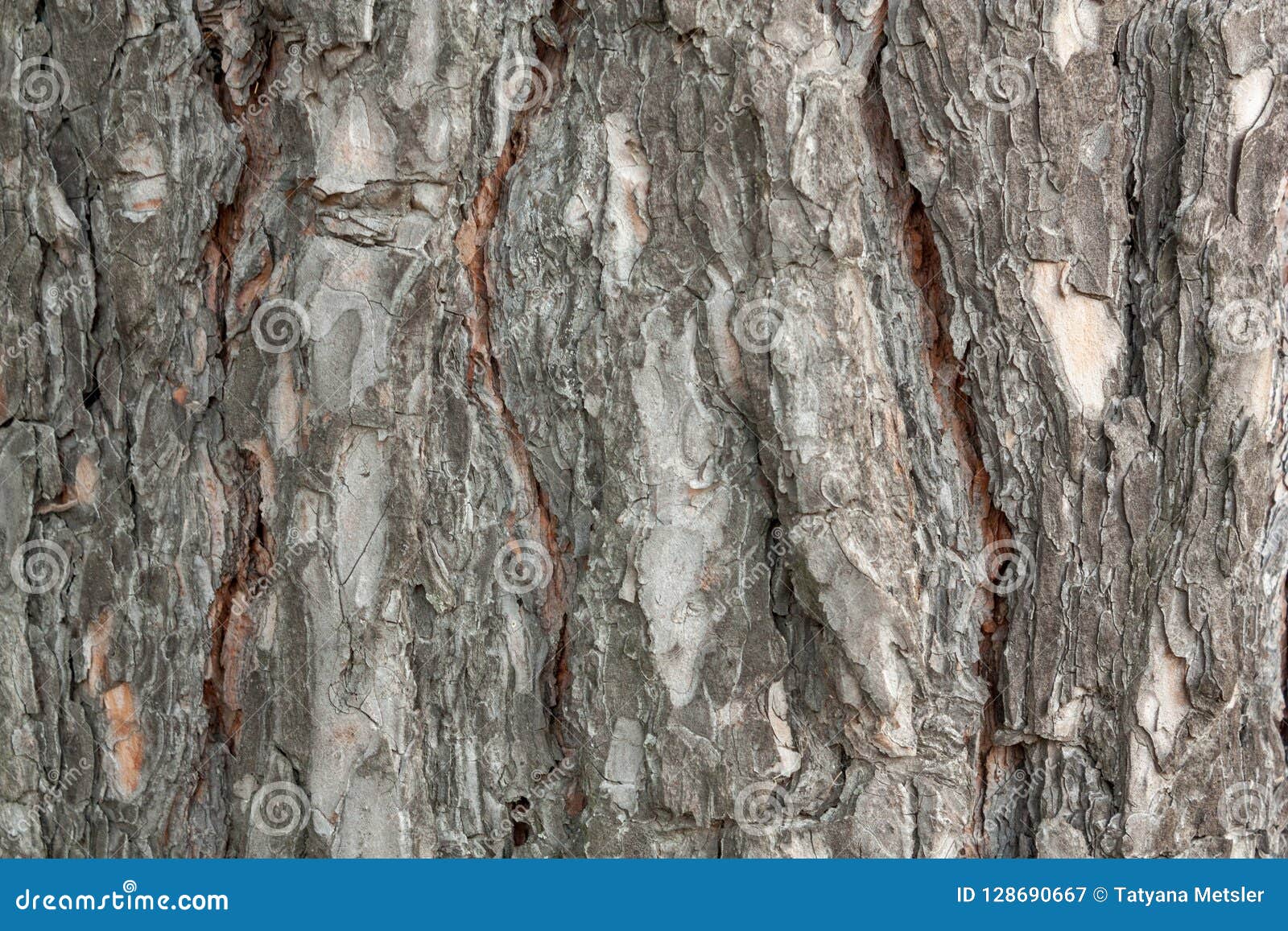 Wood Coating Texture Background Stock Image - Image of screen, wood ...