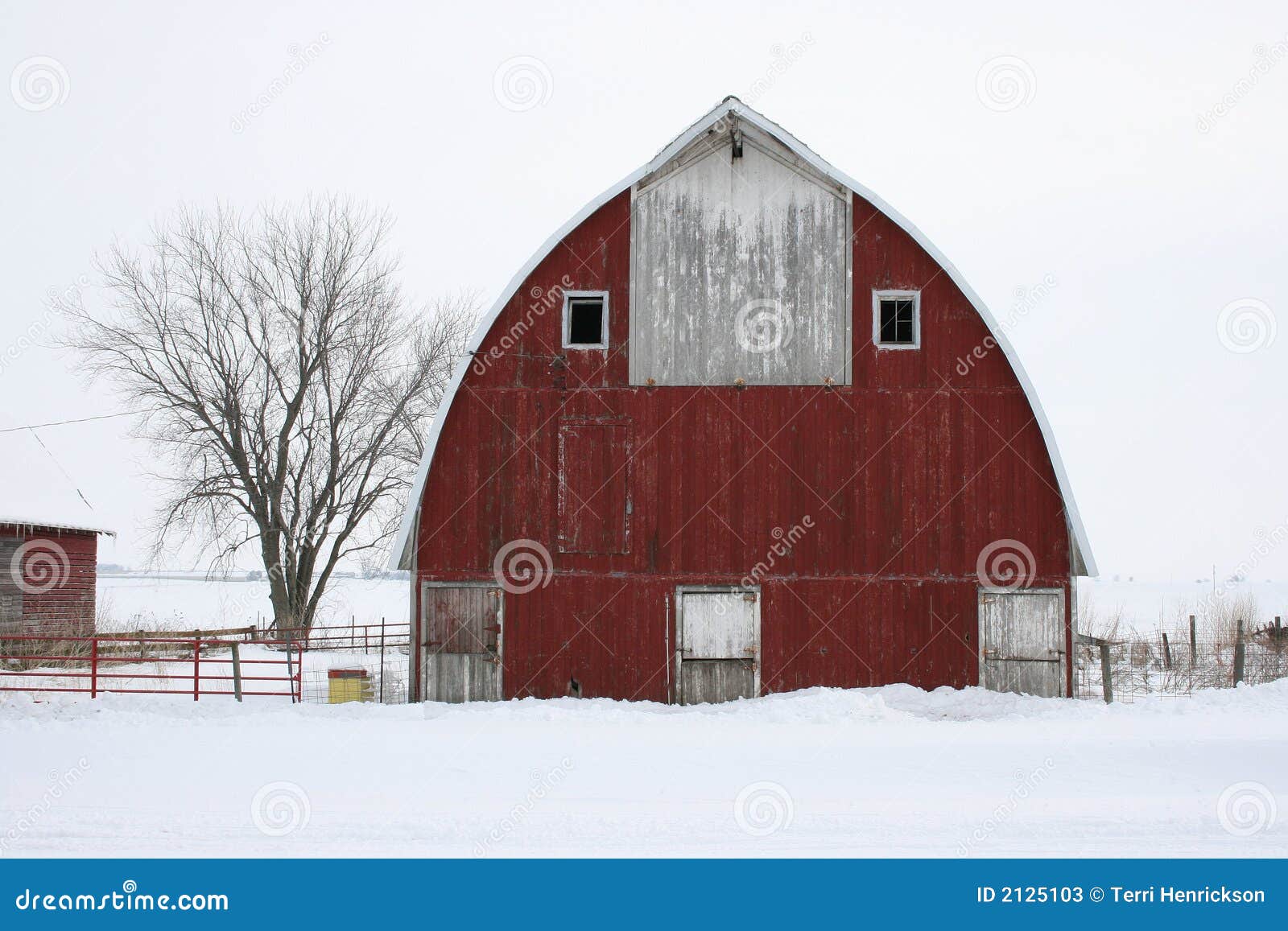 Tree & Barn stock image. Image of winter, agriculture - 2125103
