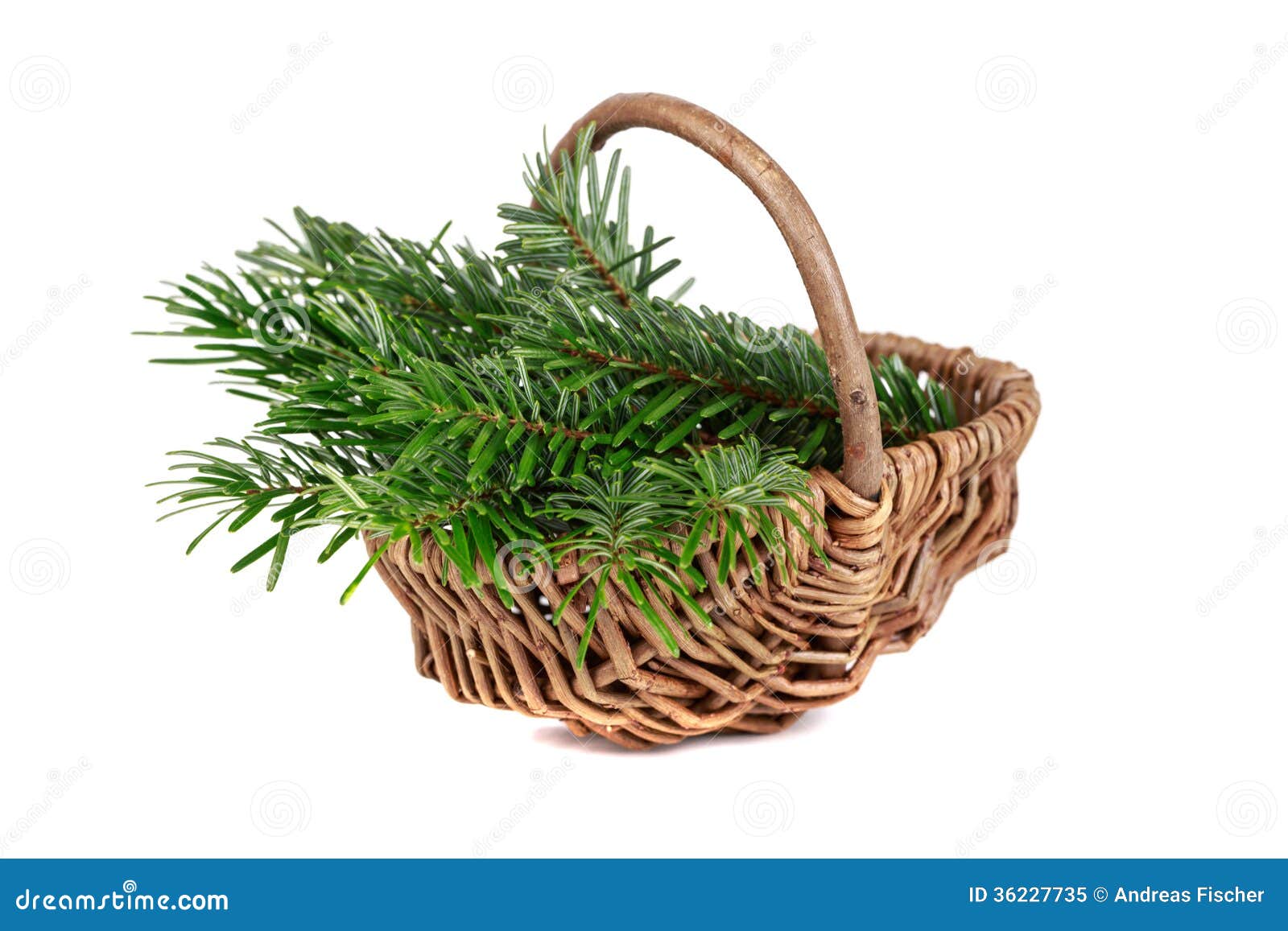 Tree in basket stock image. Image of season, year, decoration - 36227735