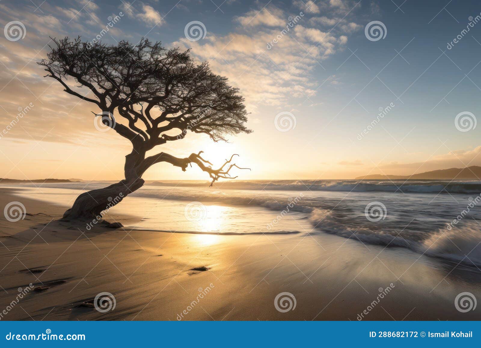 A Tree on the Beach, Created by Generative AI Stock Illustration ...