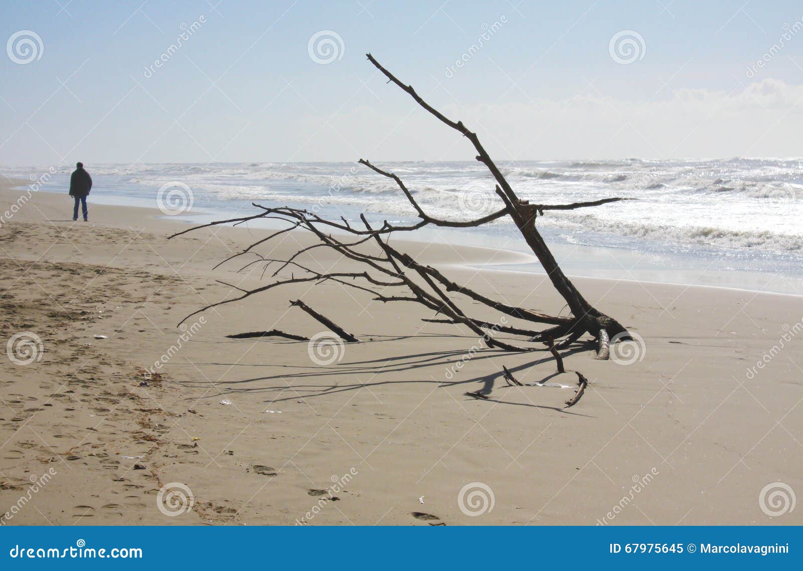 148 Man Shipwrecked Photos - Free & Royalty-Free Stock Photos from ...