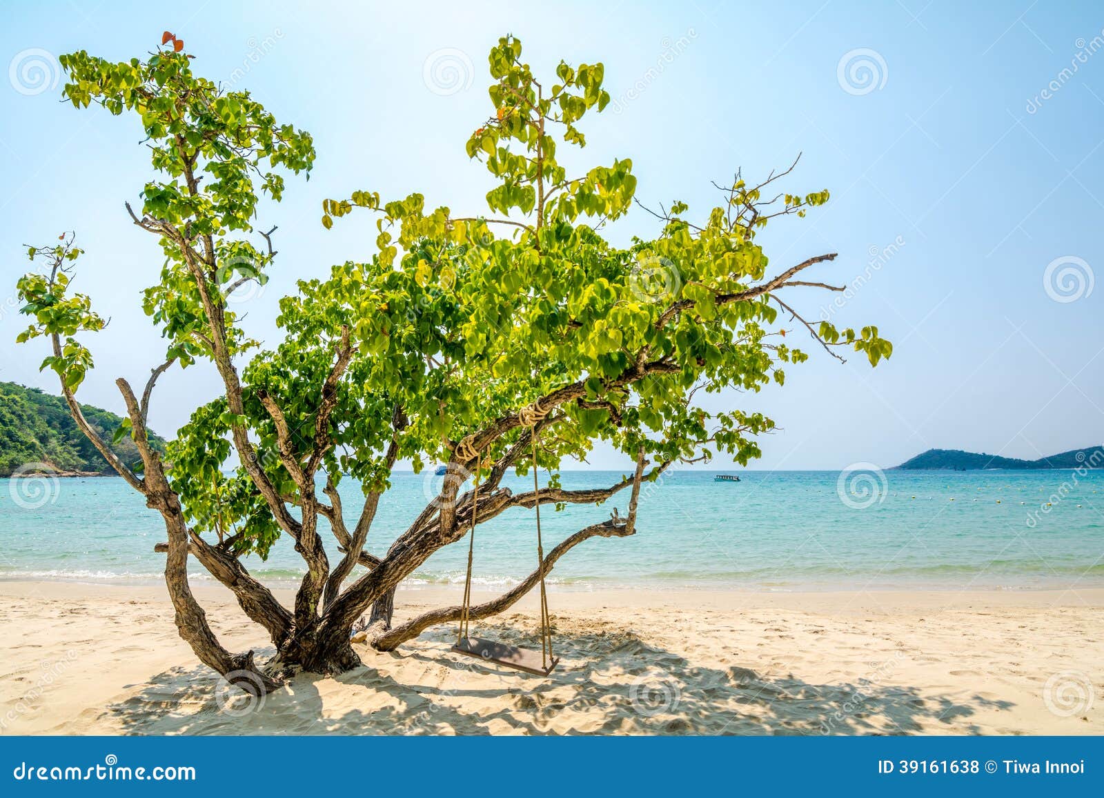 Tree on White Sand Beach stock photo. Image of bright - 39161638