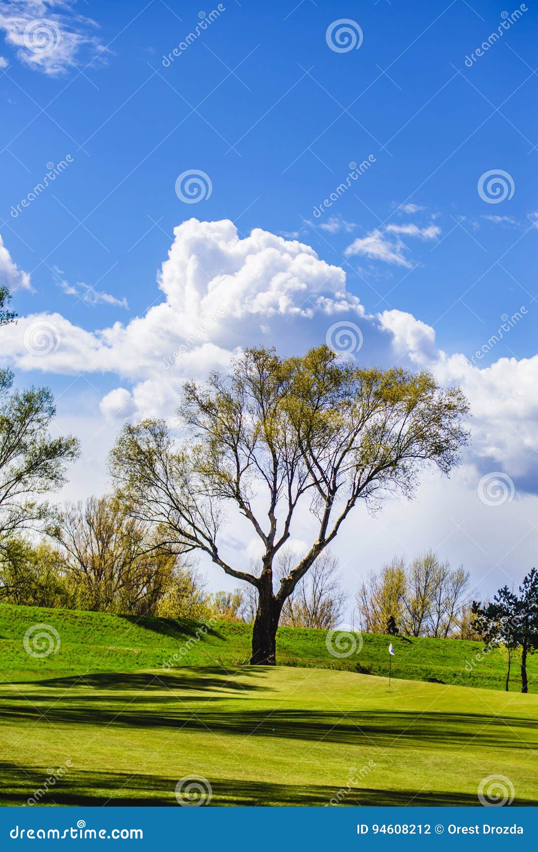 Tree on the Beautiful Golf Course Stock Photo - Image of active, golfer ...