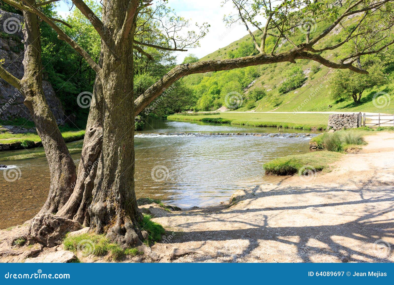 Tree by the River in the Mountain Stock Image - Image of break, energy ...