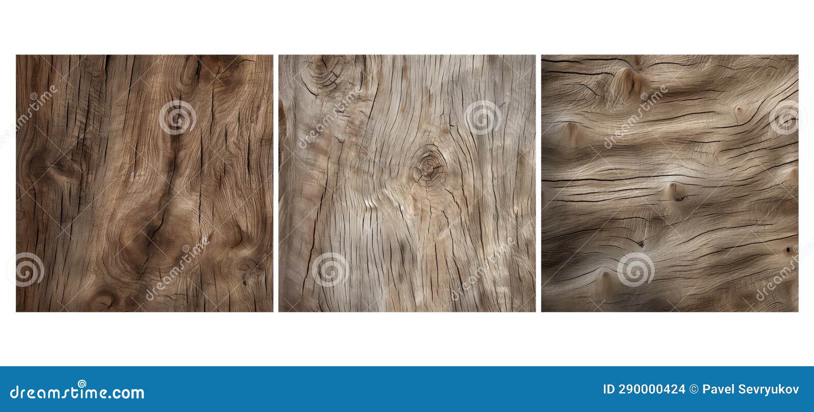 Tree Beech Wood Texture Grain Stock Photo - Image of surface, wood ...