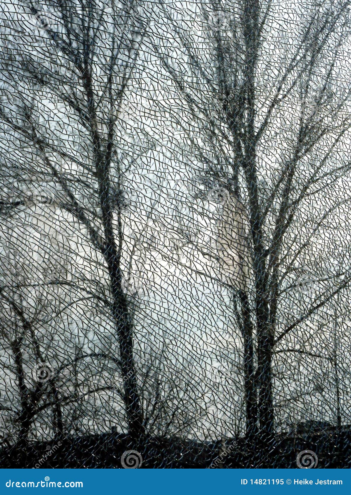 Tree Behind Glass Stock Image | CartoonDealer.com #14821195