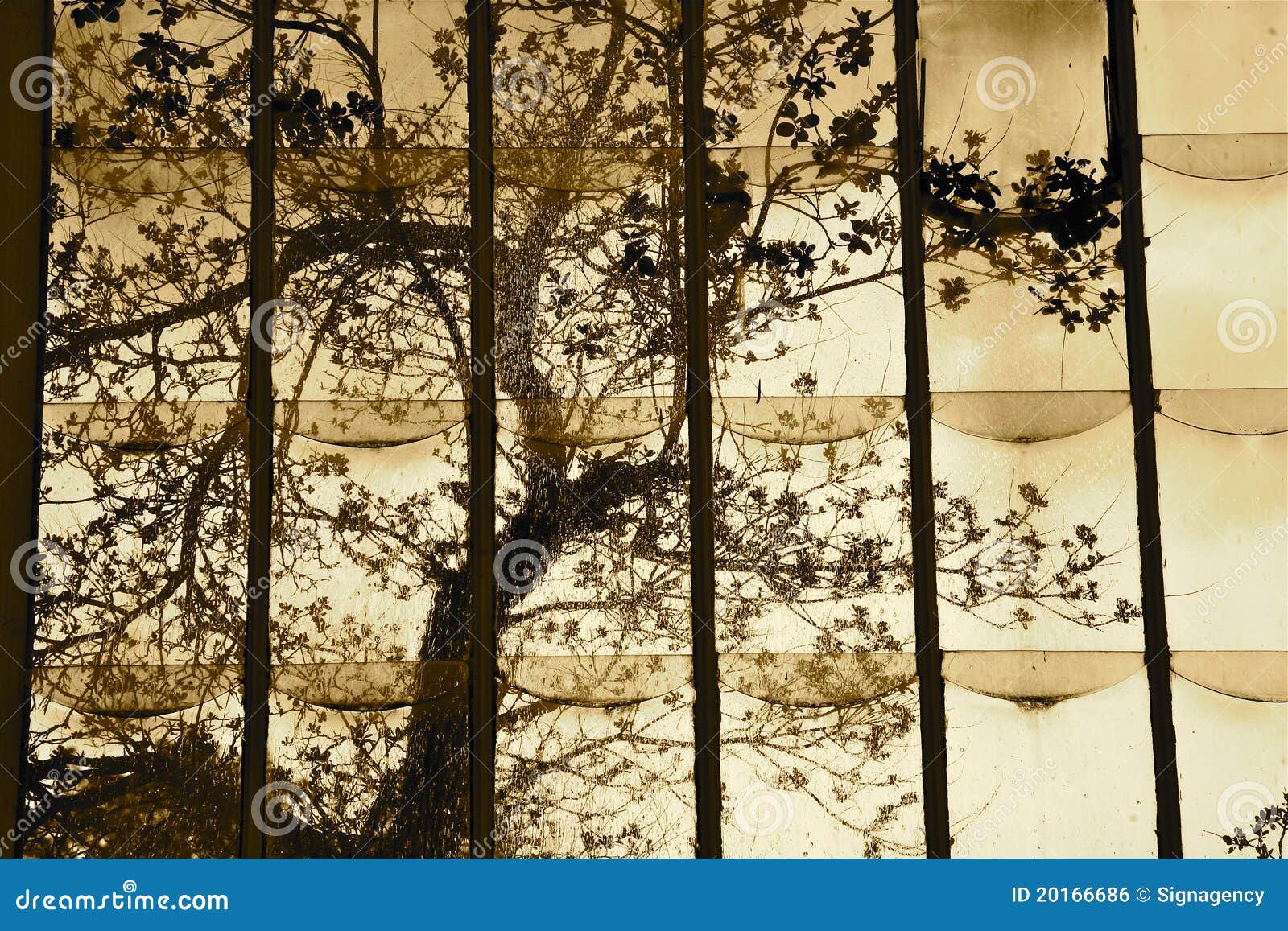 Tree Behind the Stained-glass Window Stock Photo - Image of glass ...