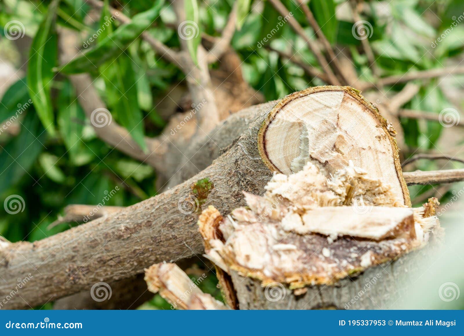 Top Down Of Traditional Indonesia Houses Aerial. Unique Countryside ...