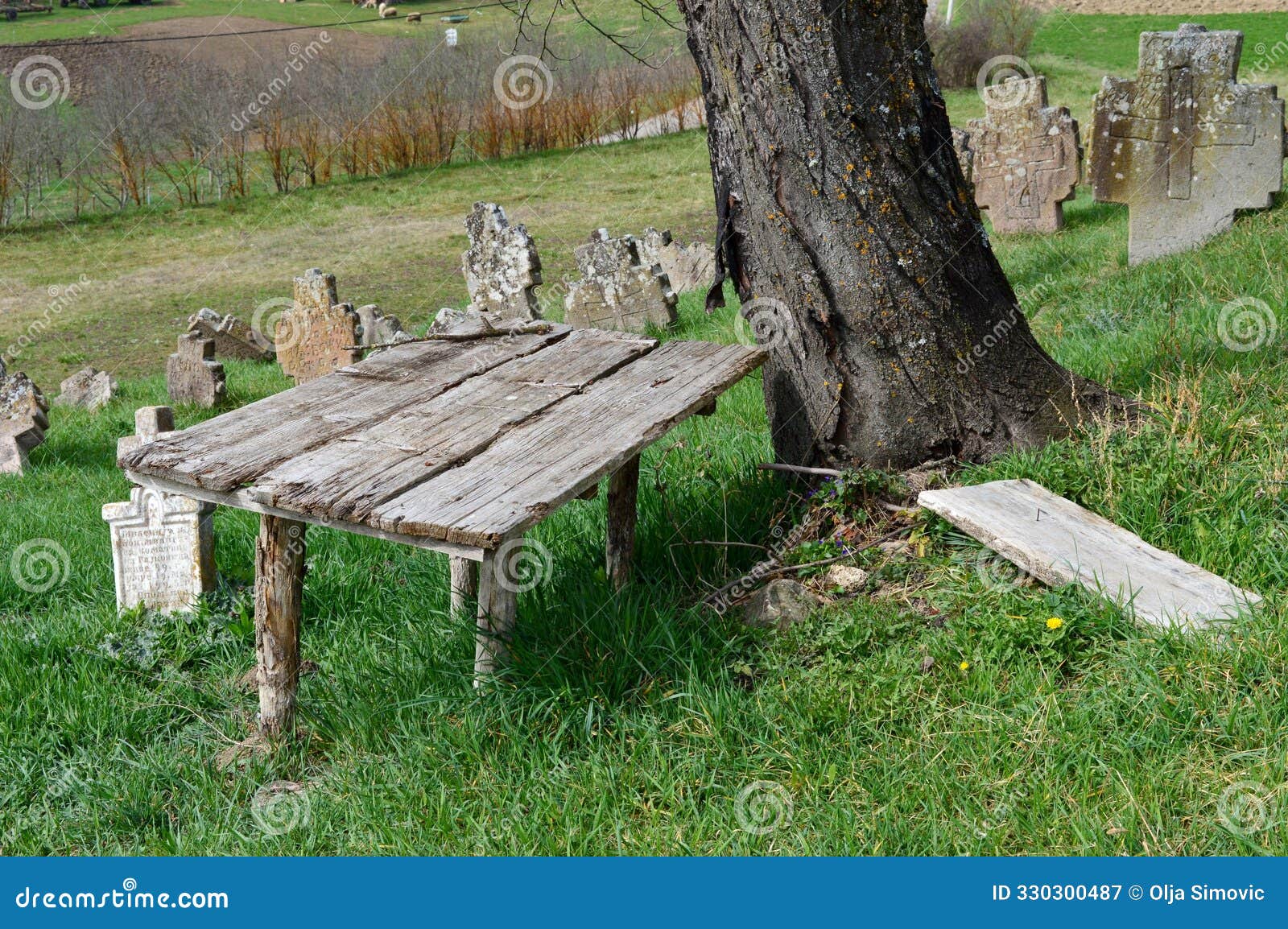 Tree and a Bench in the Old Cemetery Stock Image - Image of wood, bench ...