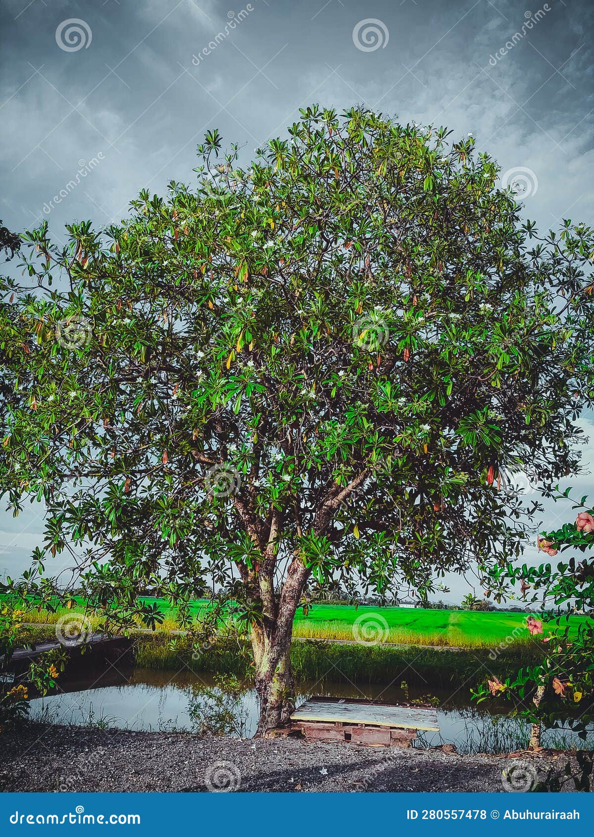 Royalty Free Images, Cartoons, Illustrations And Photos Designed By ...