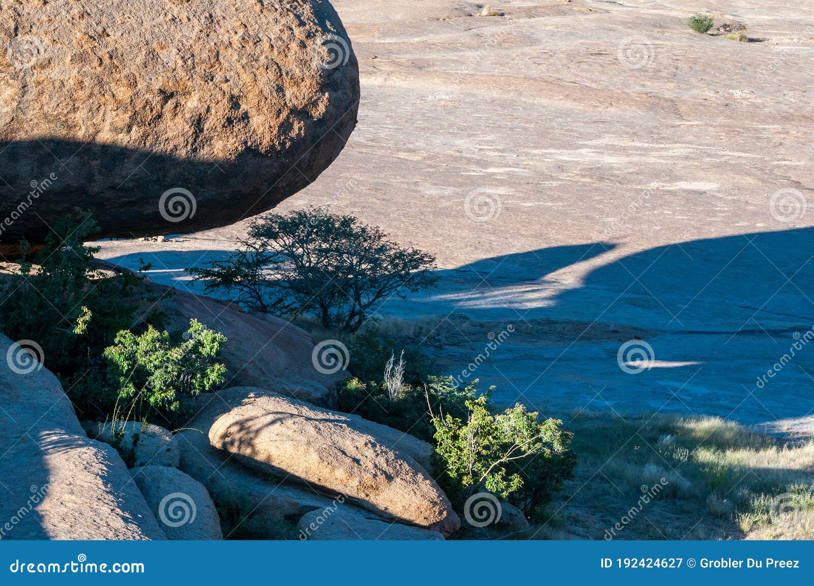 Tree Beneath a Solid Granite Boulder at Bulls Party Stock Image - Image ...