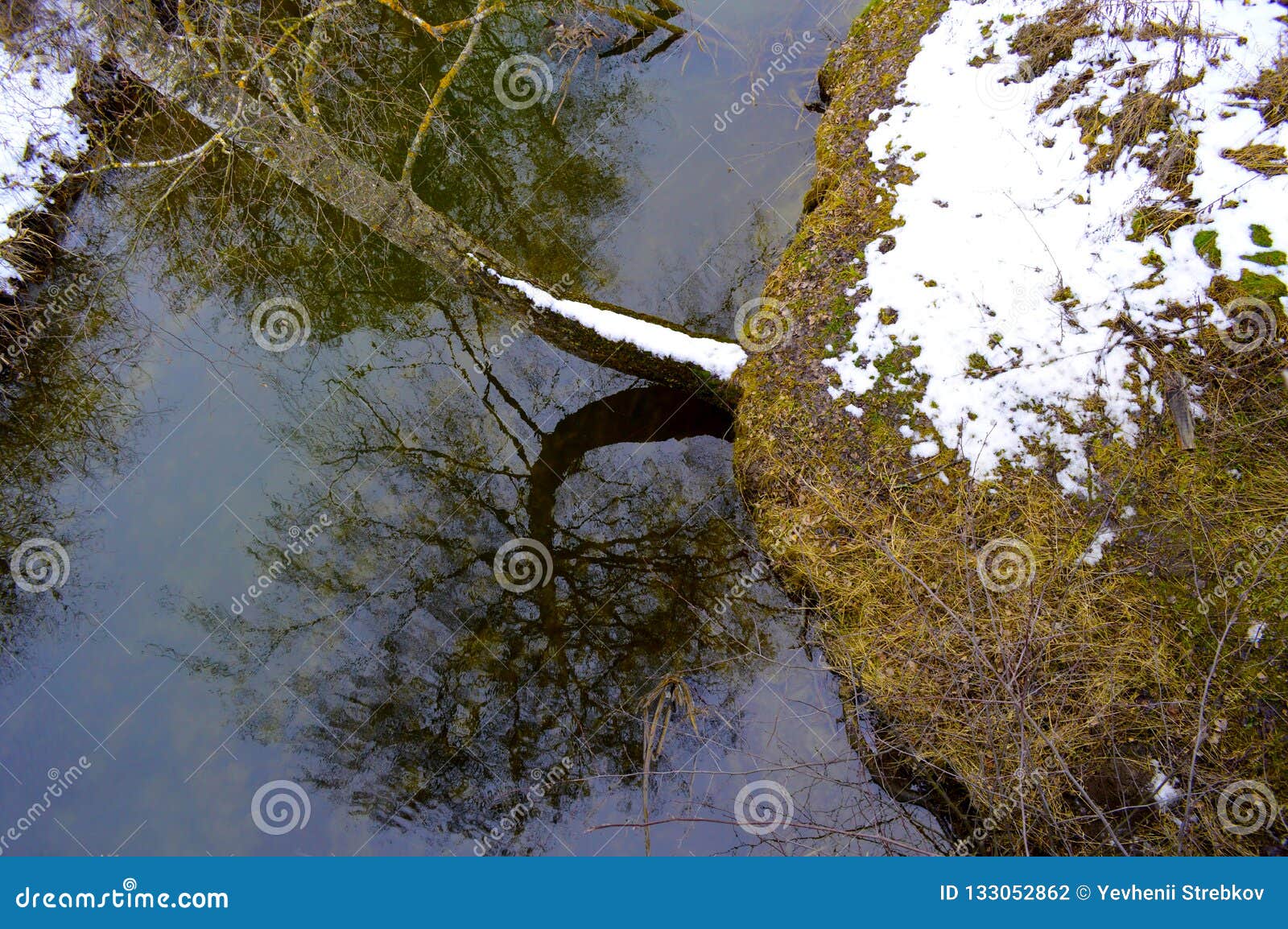 The Tree Bent Over the Stream Stock Photo - Image of blue, landscape ...