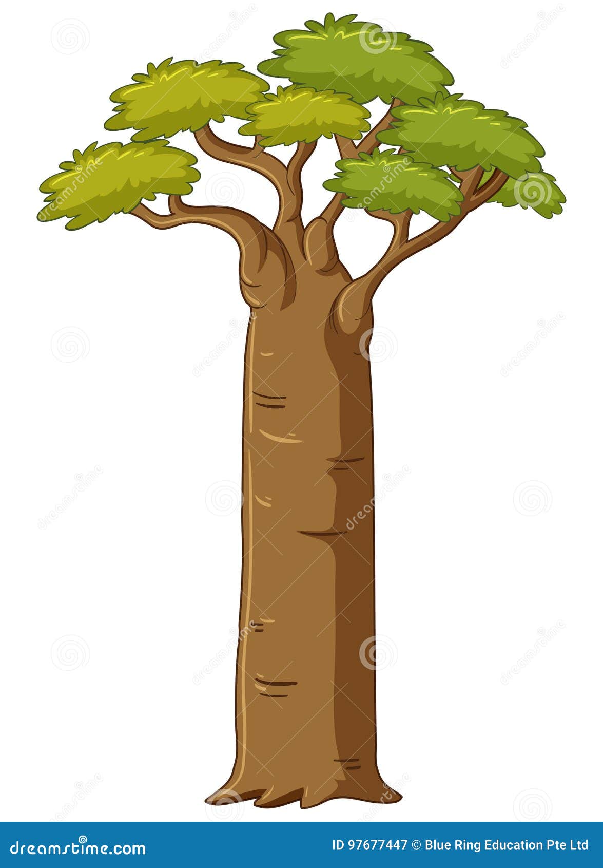 Tree with big trunk stock vector. Illustration of green - 97677447