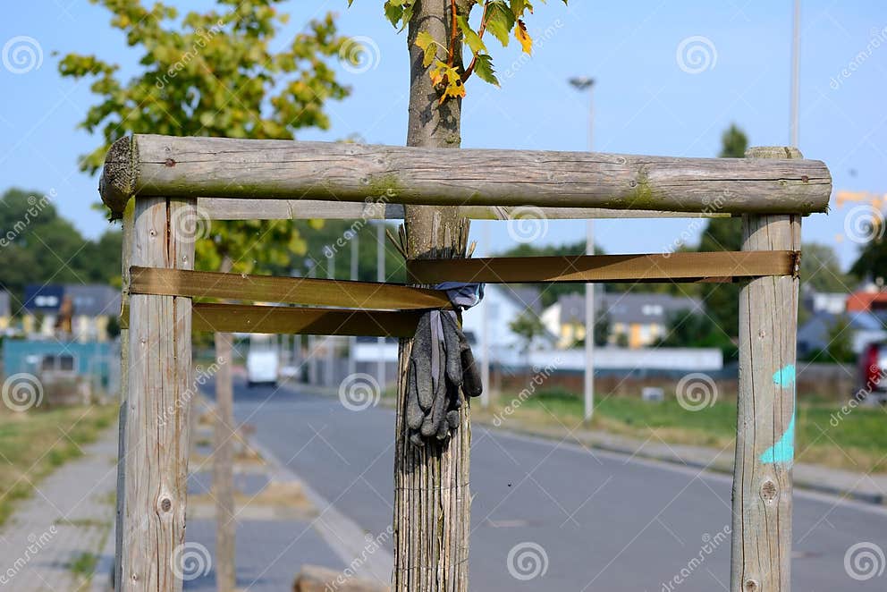 Tree binding stock photo. Image of performance, overheating - 26655922