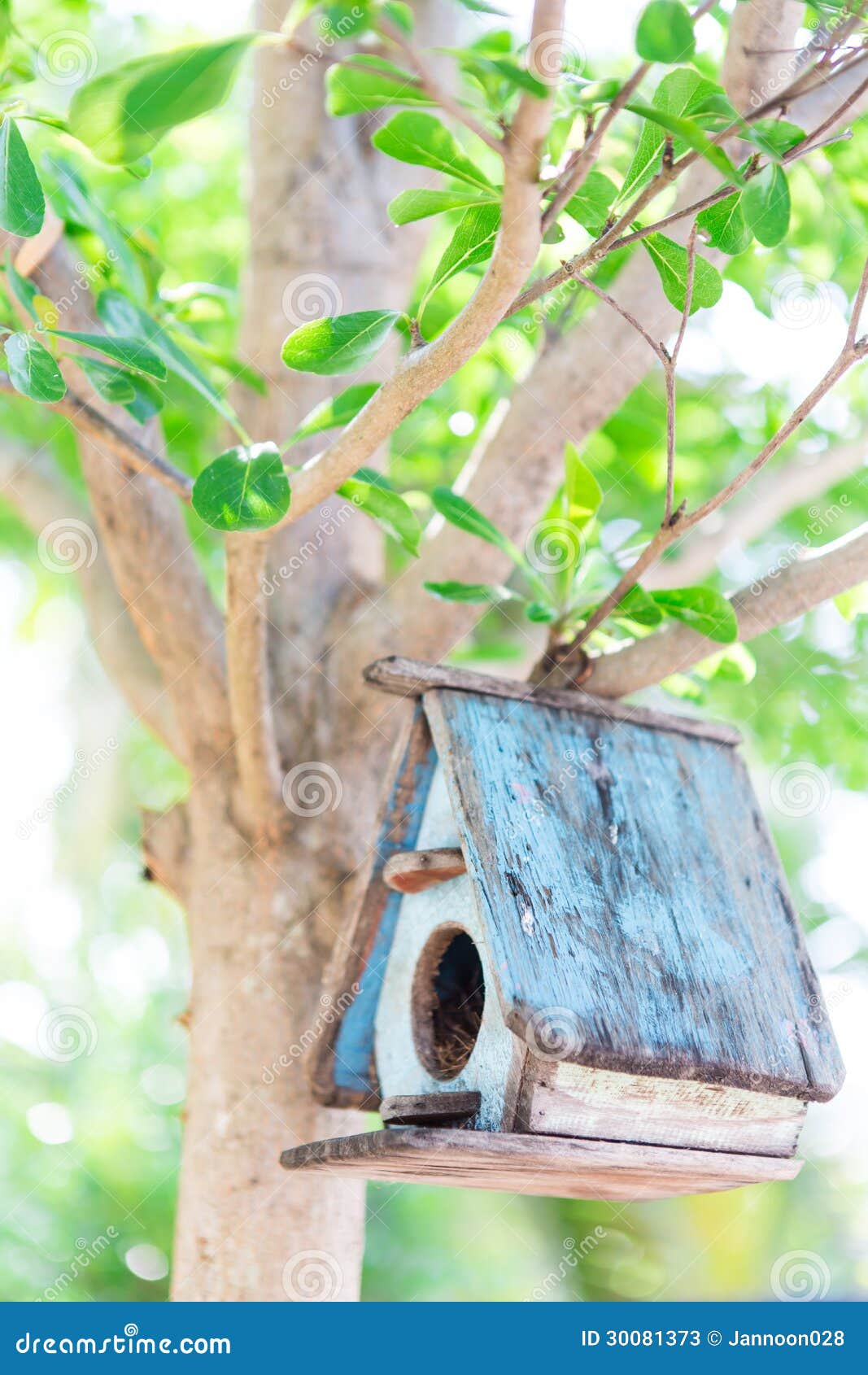 Bird House on a tree stock image. Image of beautiful - 30081373