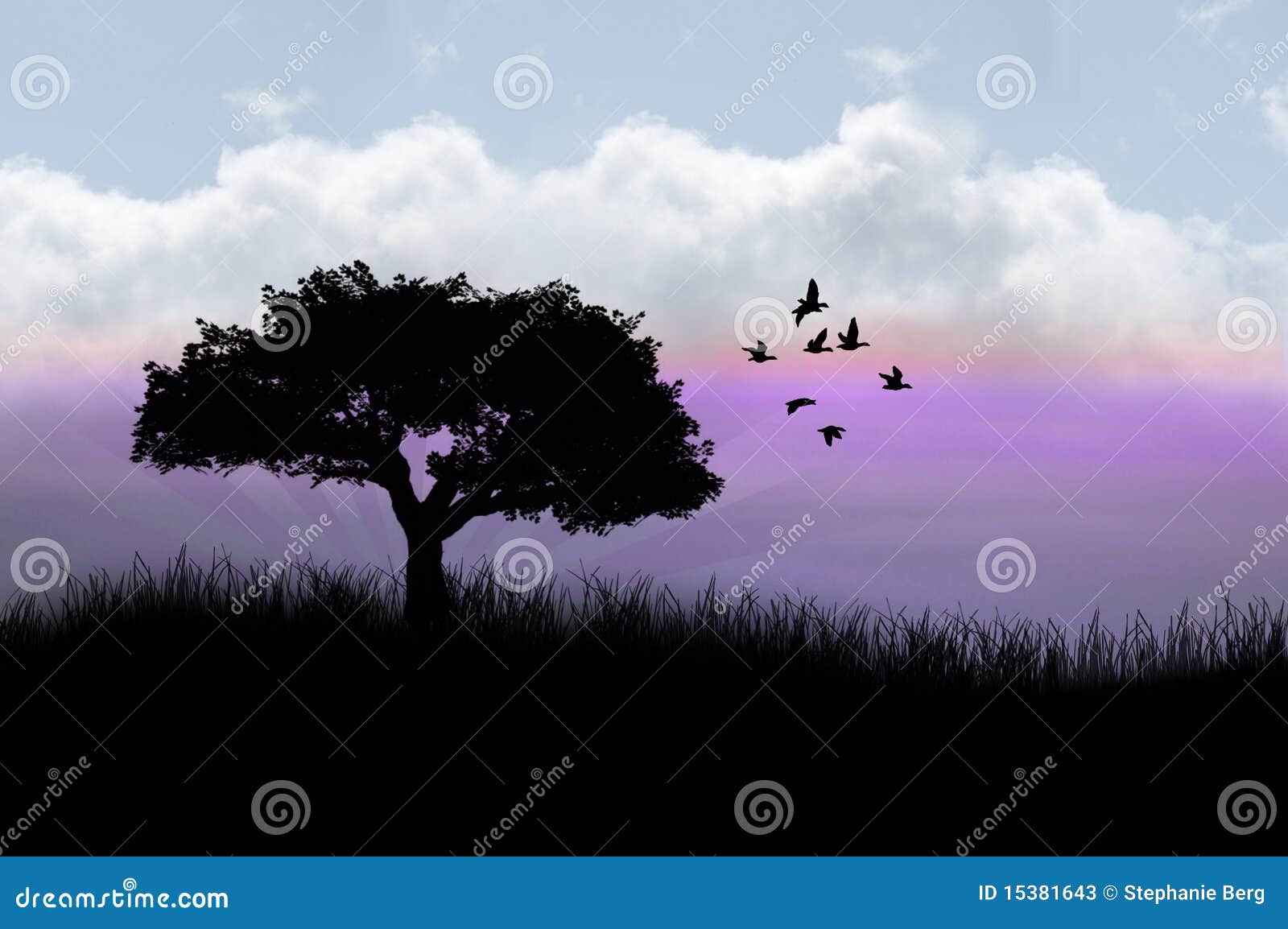 Tree with birds flying stock image. Image of silhouette - 15381643