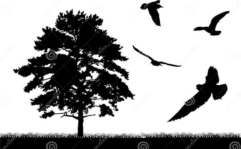 Tree and birds silhouette stock illustration. Illustration of nature ...