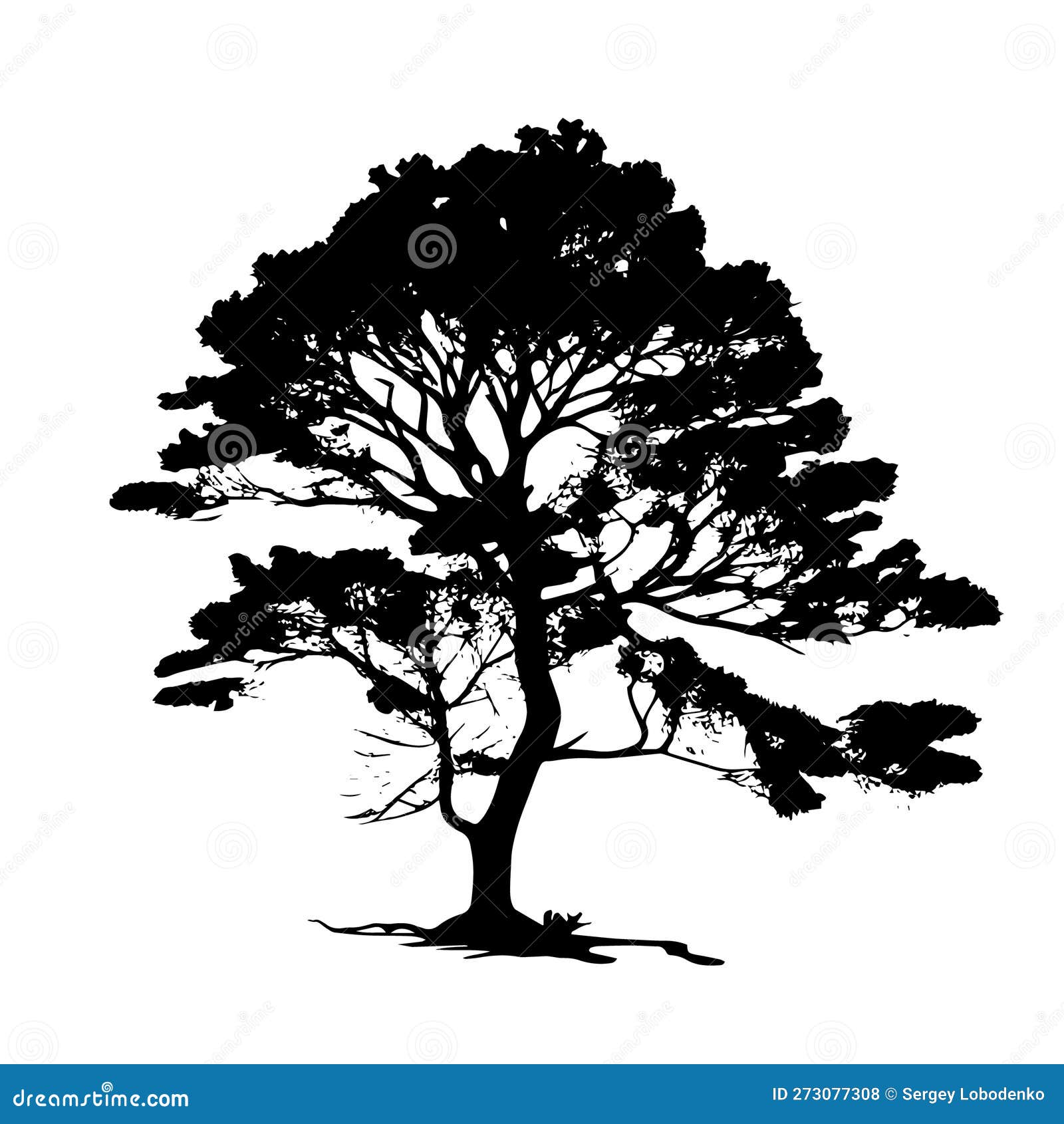 Black Tree Silhouette Transparent