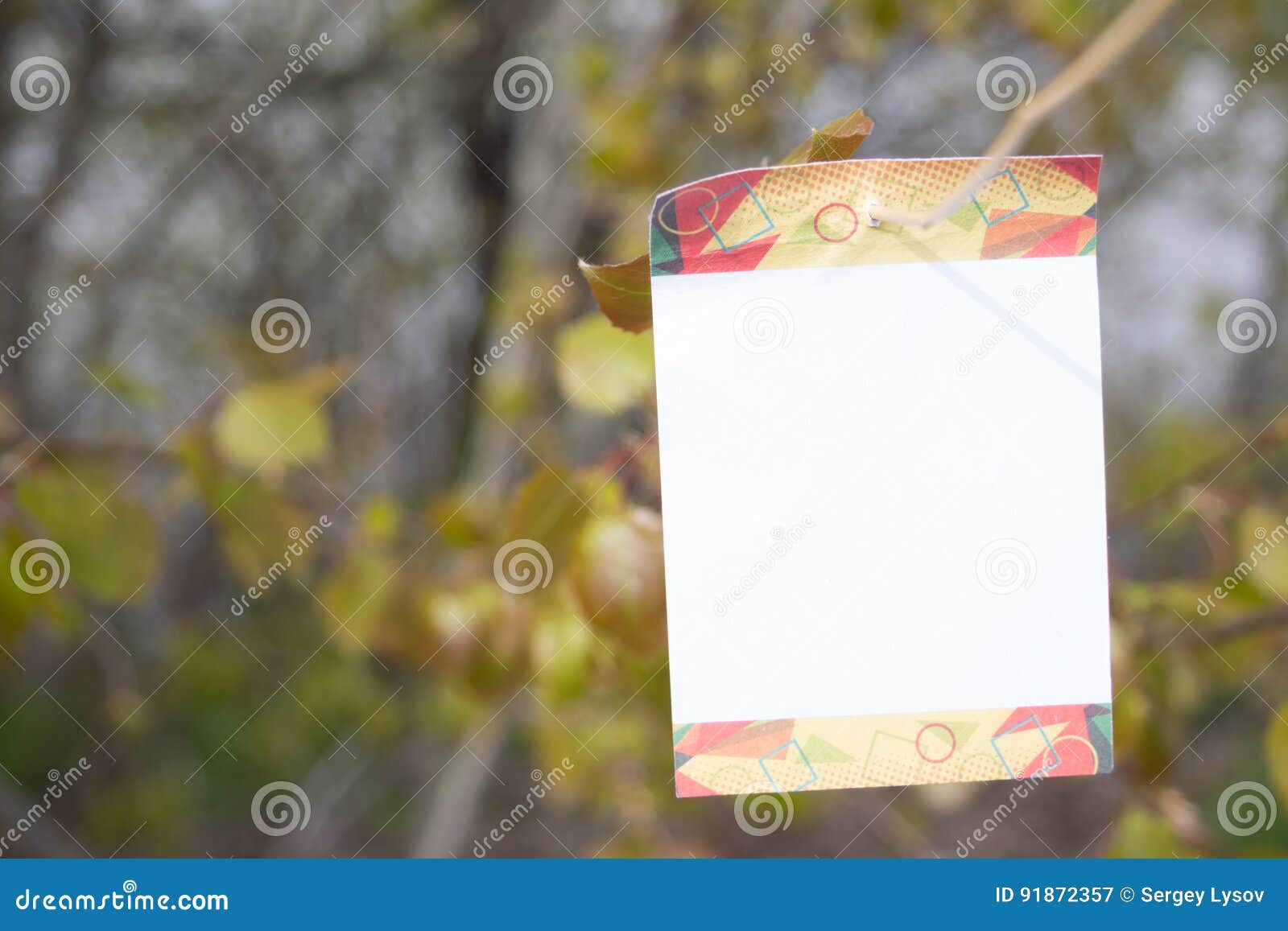 Tree blank stock image. Image of springtime, color, nature - 91872357