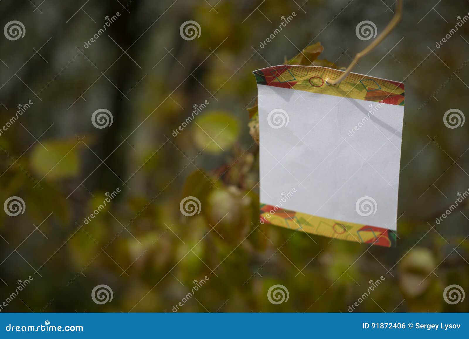 Tree blank stock photo. Image of empty, space, rustic - 91872406