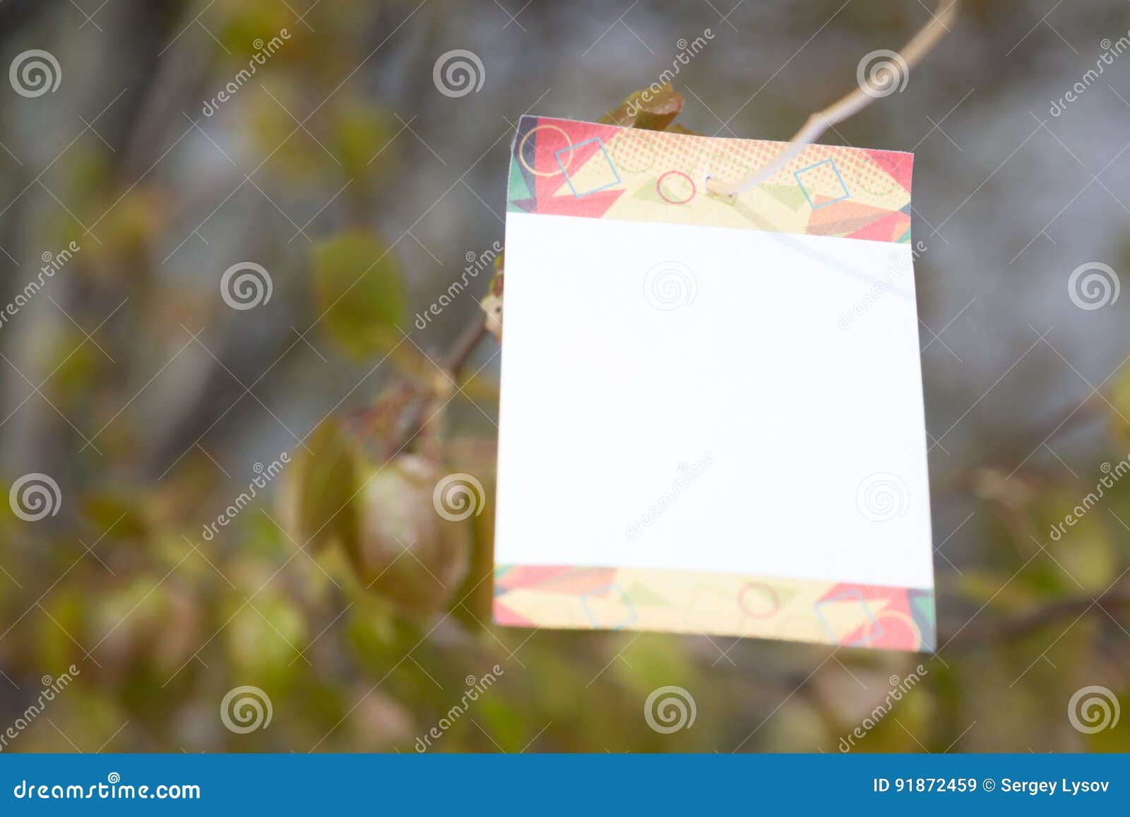 Tree blank stock image. Image of blank, empty, nature - 91872459