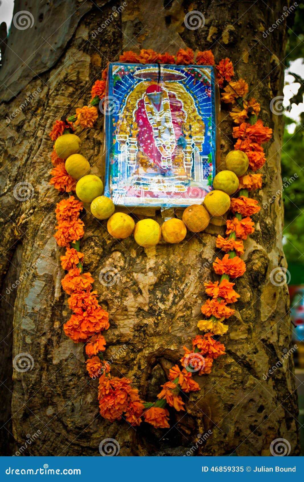 Tree Blessing, Delhi, India Editorial Image - Image of orange, yello ...