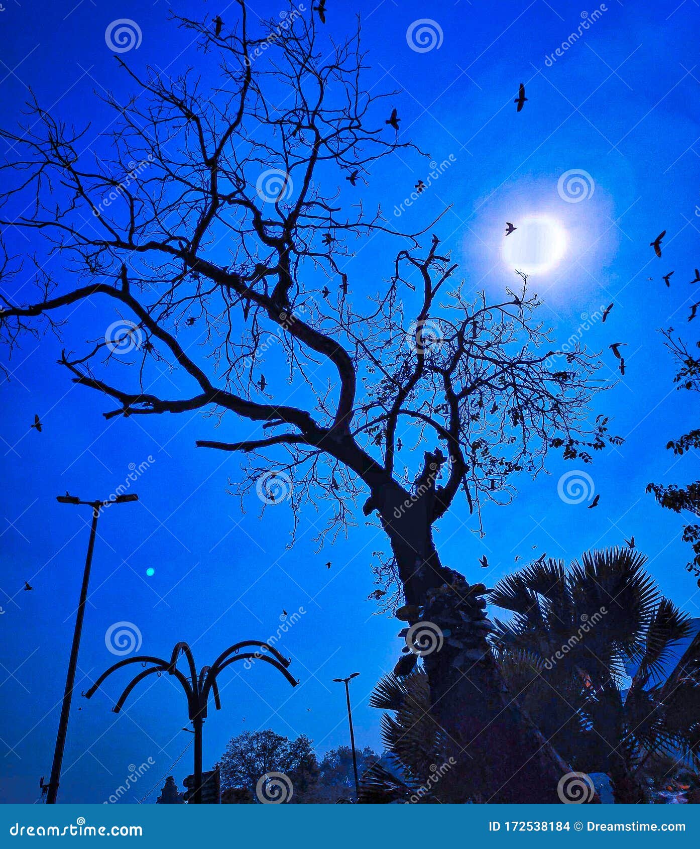 Tree on Blue Background of Night Sky Stock Photo - Image of light ...